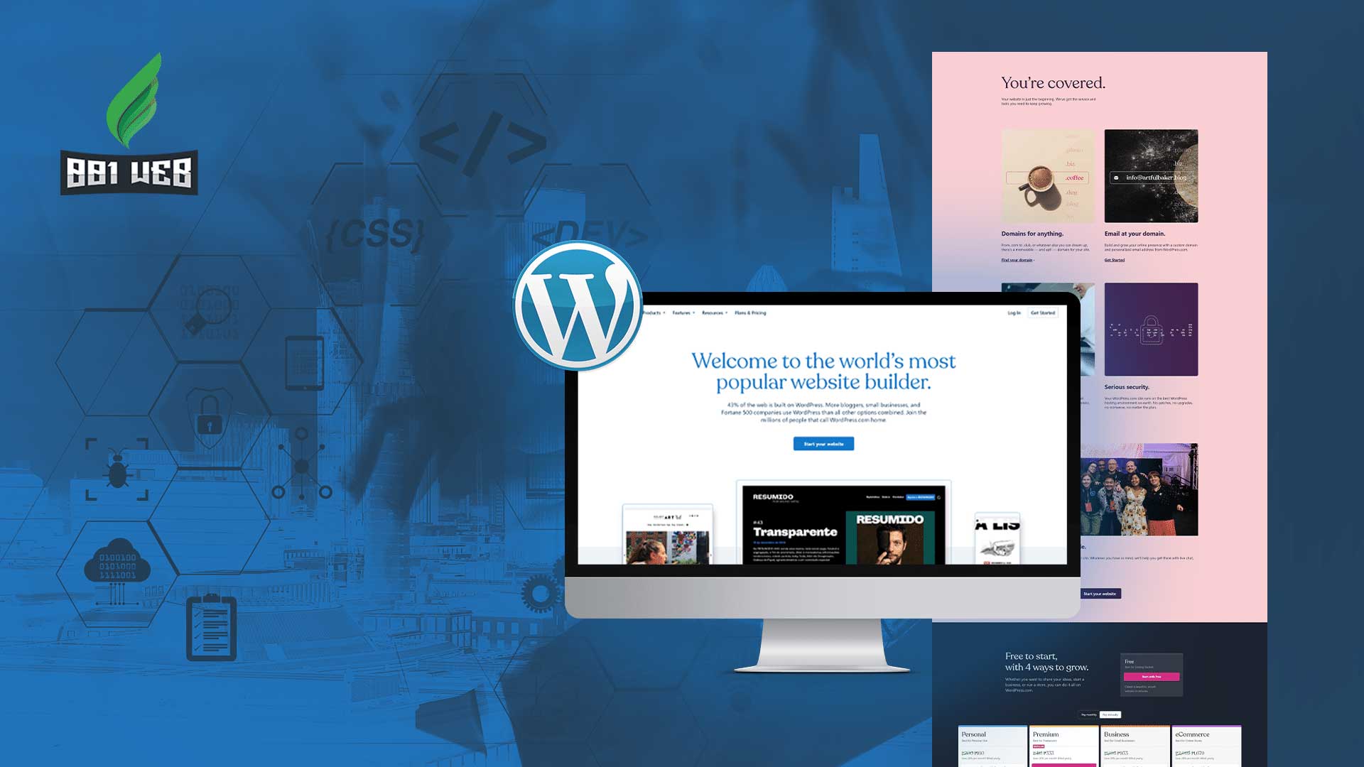 Custom Wordpress Website Vs BYO Theme - Label & Mint